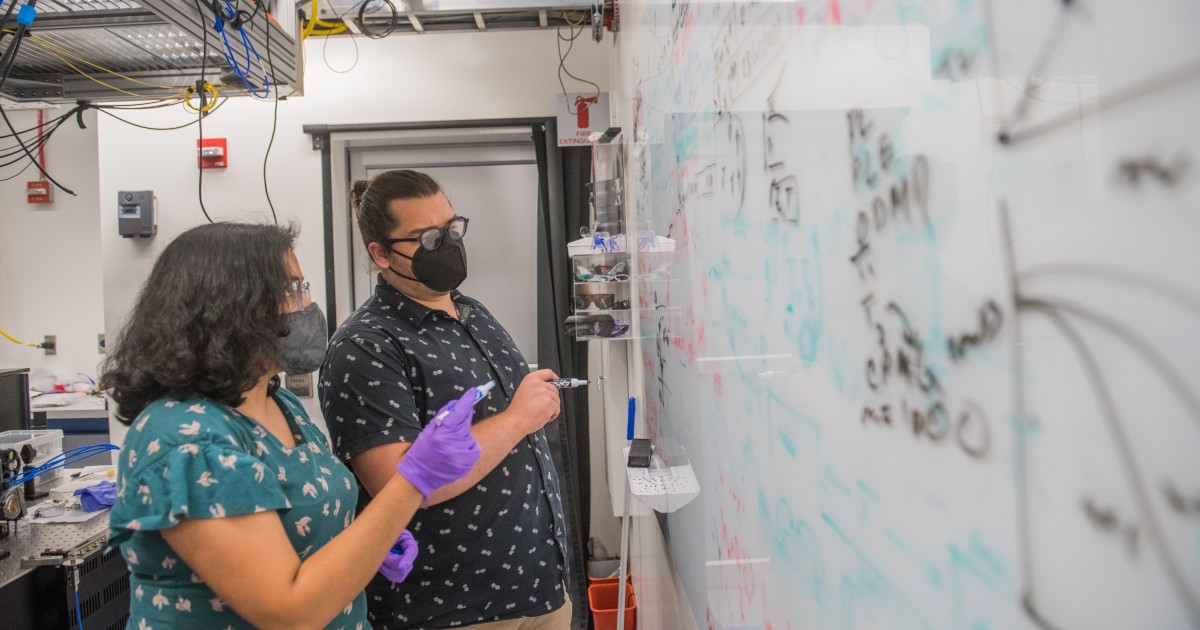NSF announces $25 million institute in Chicago for quantum biology ...
