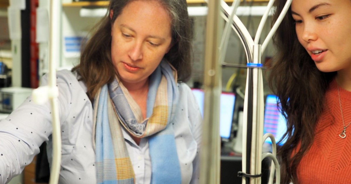 Elizabeth Goldschmidt: creating quantum memories | Chicago Quantum Exchange