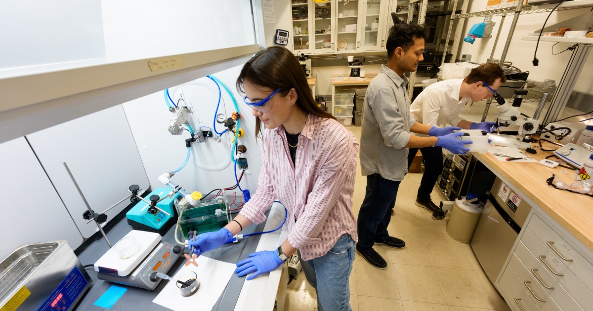 Quantum-enabling startup founded at UChicago joins the Chicago Quantum ...