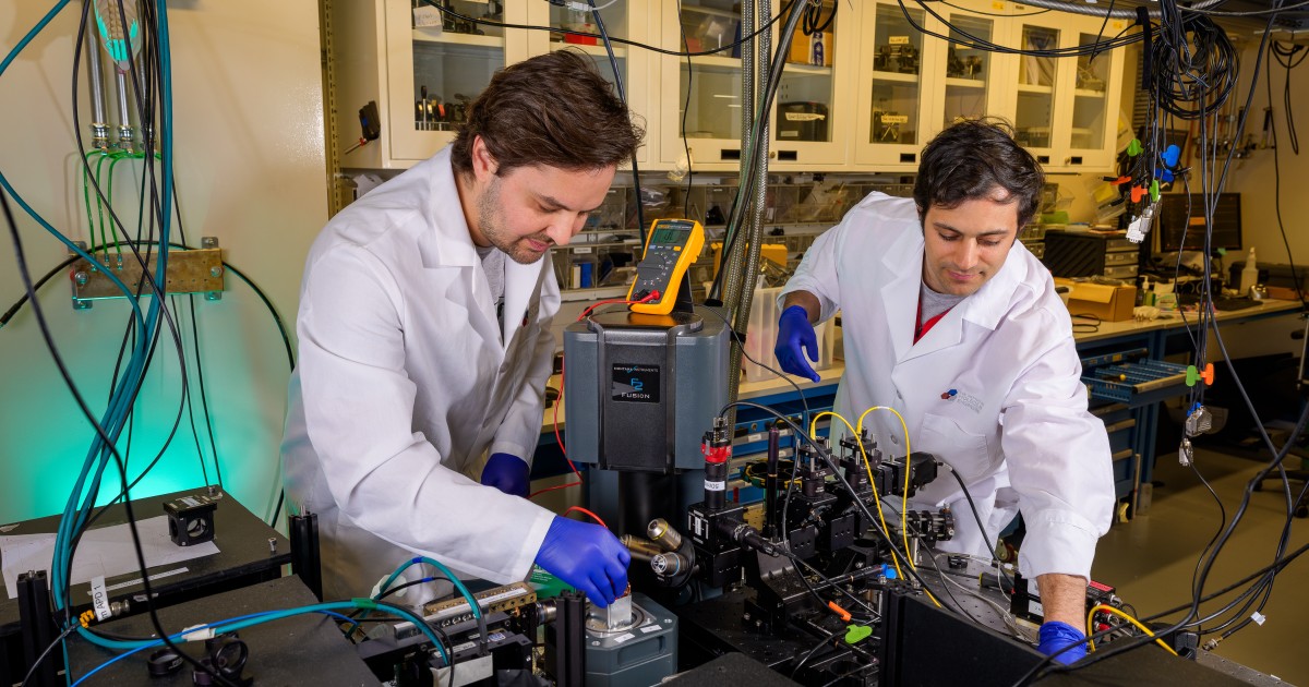 Scientists program cells to create biological qubit in ...